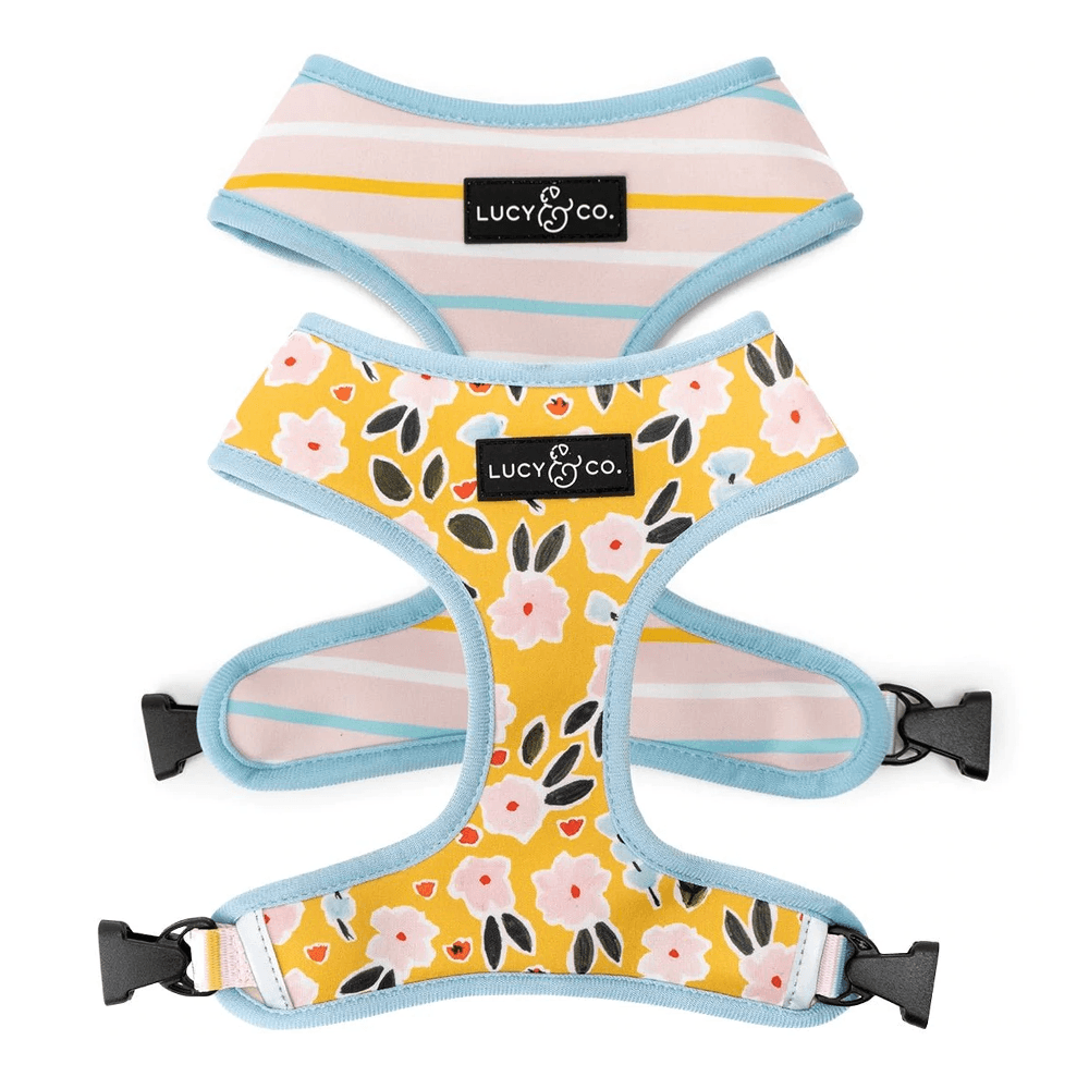 The Little Lamb Reversible Harness – WAGSUP