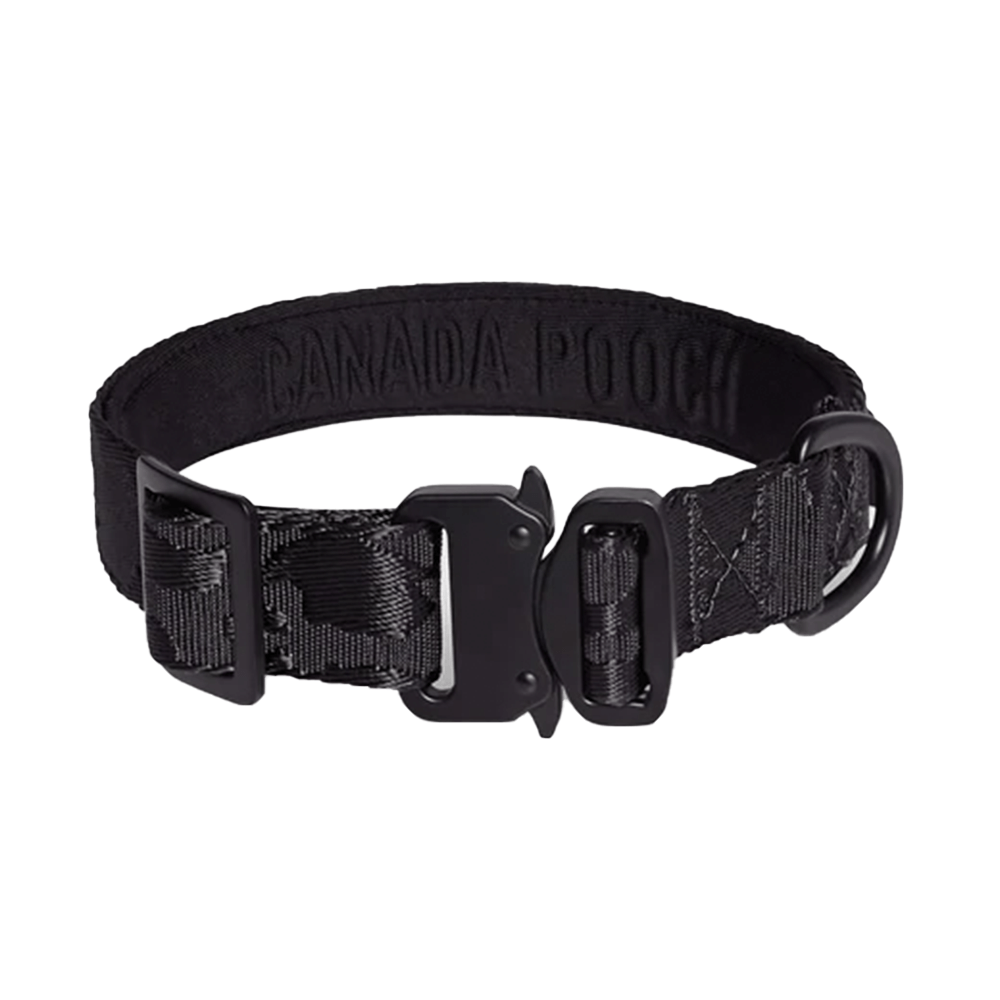 Utility Collar Black – WAGSUP
